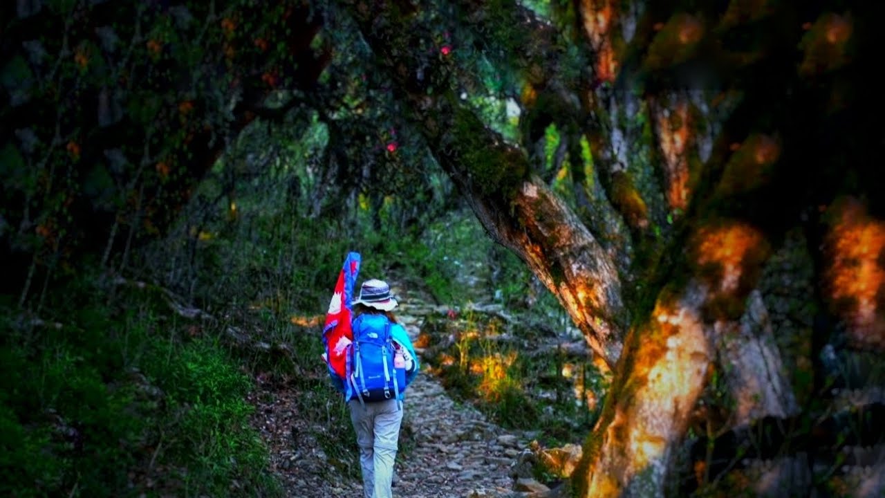 Most Beautiful Trekking Destination Salpa, Silichung. Bhojpur Nepal ...