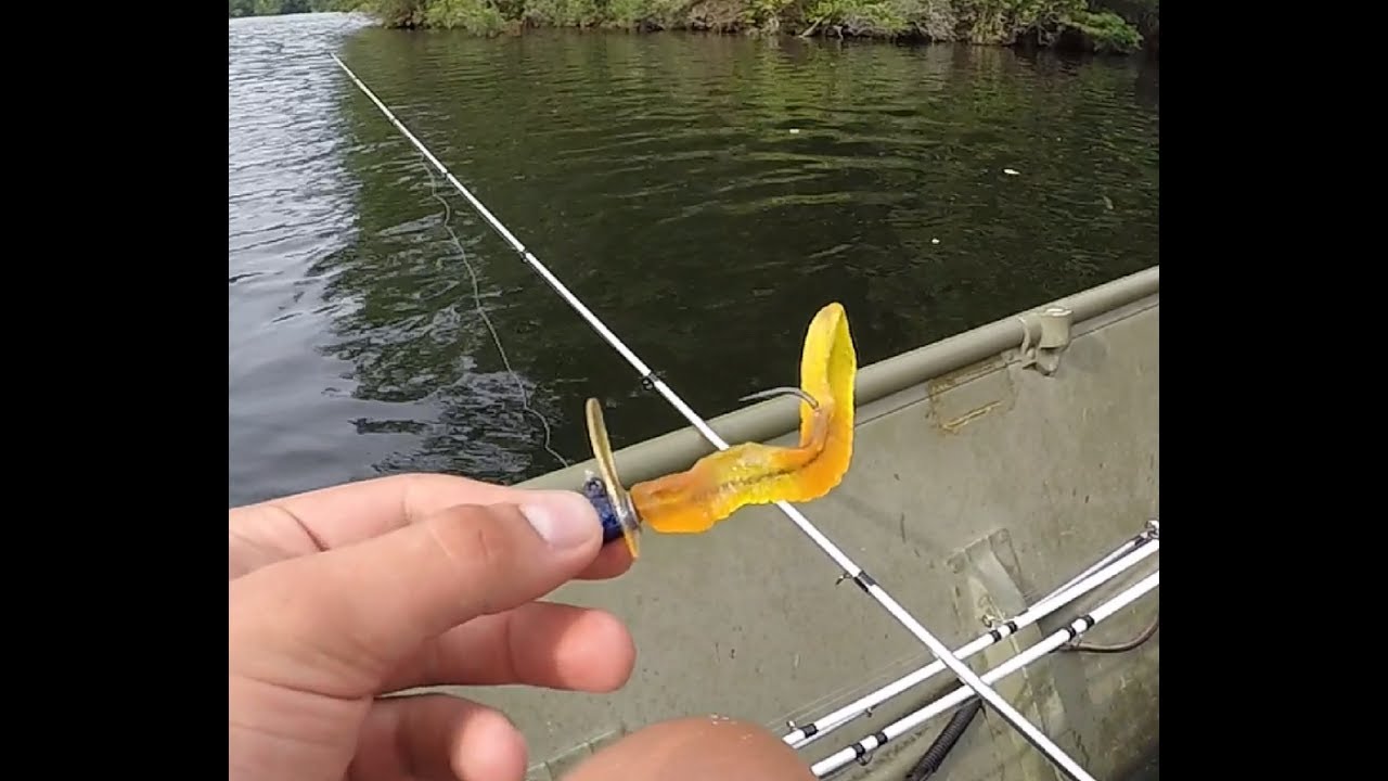 Gummy Worm Bass Fishing Challenge: SOUR VS REGULAR - YouTube