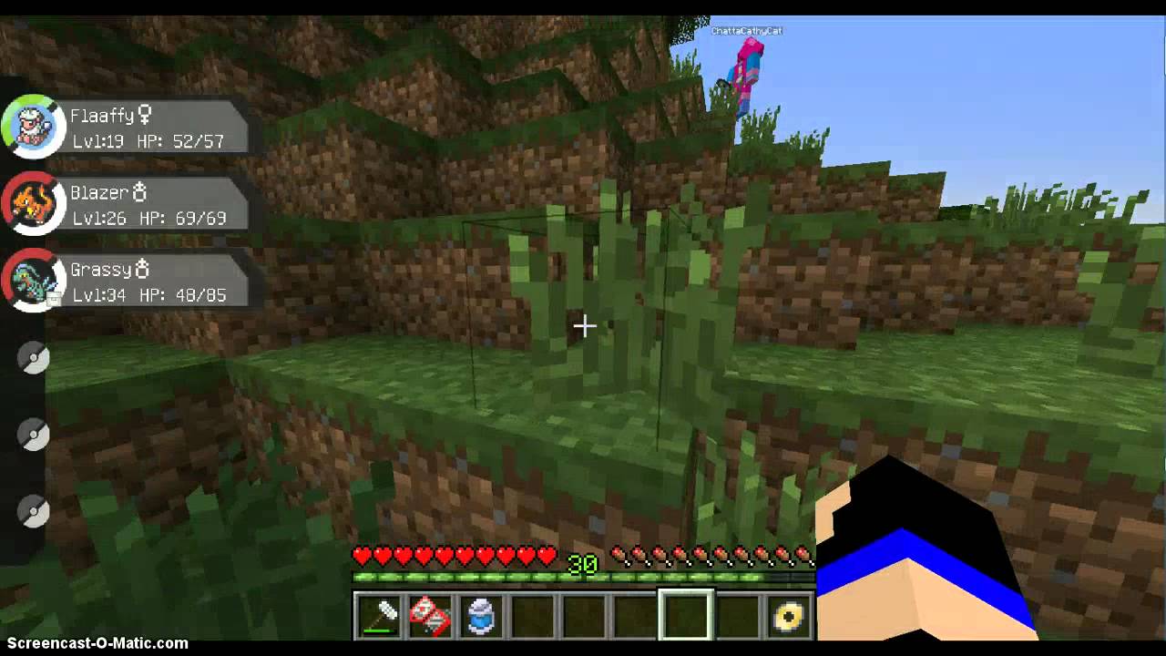Minecraft-Pixelmon-Brock's Gym {2} - YouTube