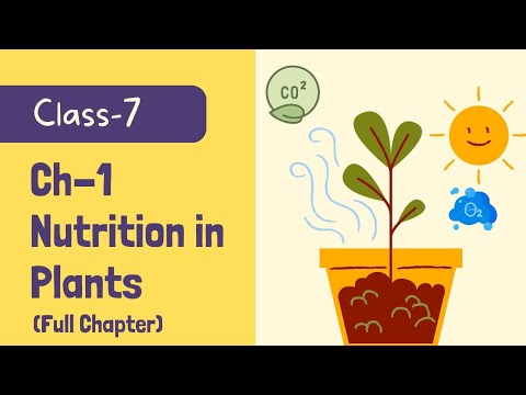 Class 7 Science Chapter 1- Nutrition in plants(NCERT) Full Explanation ...
