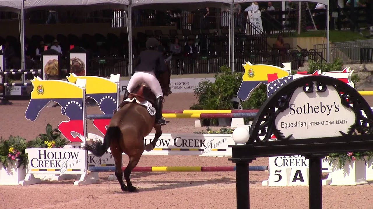 Megan/Rambo - 1.30M Classic - WEF IV - 2/1/2015 - 6/6 - YouTube