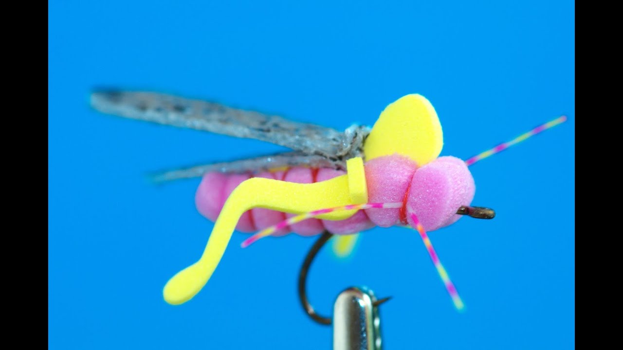 Shark Taco Hopper - Fly tying lesson video tutorial by Curtis Fry - YouTube