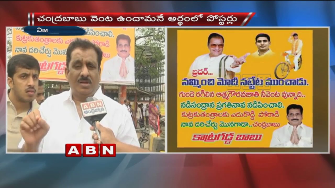 TDP Posters creates sensations over AP special status - YouTube