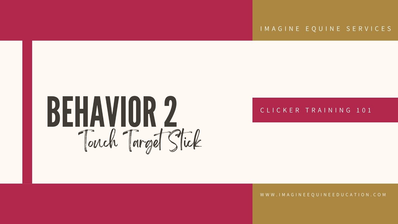 Clicker Training 101 - Lesson 11 - Touch a Target Stick - YouTube