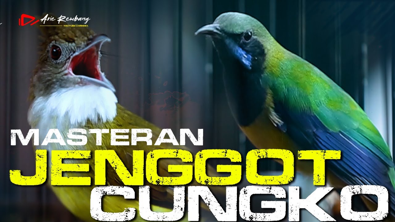 MASTERAN JENGGOT FEAT CUNGKO - YouTube