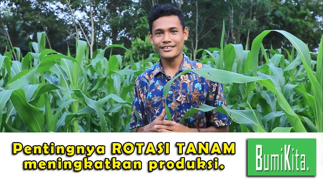 Meningkatkan produksi hasil pertanian dengan cara memperhatikan rotasi ...