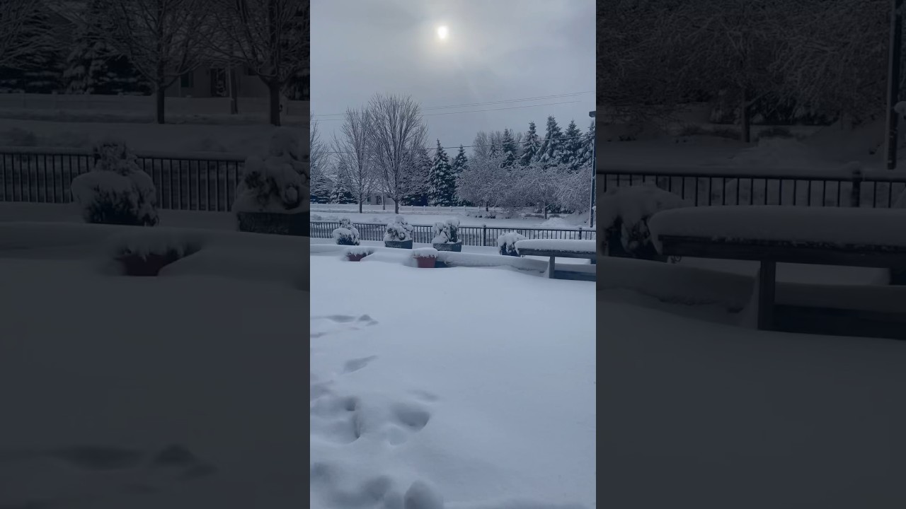 Snow hits very crazy 😜 it tooks to crazy snowfall #snowstorm #crazy # ...