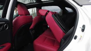 2020 LEXUS RX | Interior