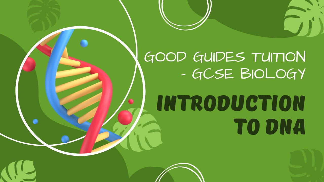 GCSE - Introduction to DNA - YouTube