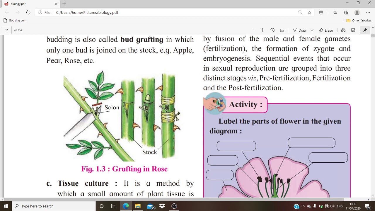 Lecture 2 Reproduction In Lower & Higher Plant. - YouTube