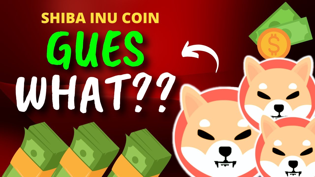 BREAKING: SHIBA INU JUST DID THE ( IMPOSSIBLE😮 ) - SHIBA INU COIN NEWS TODAY - SHIB PRICE ...