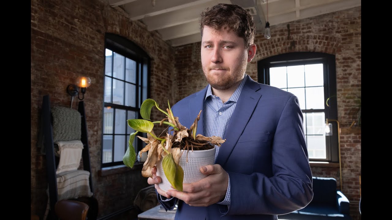 Your Not a Bad Plant Parent - YouTube