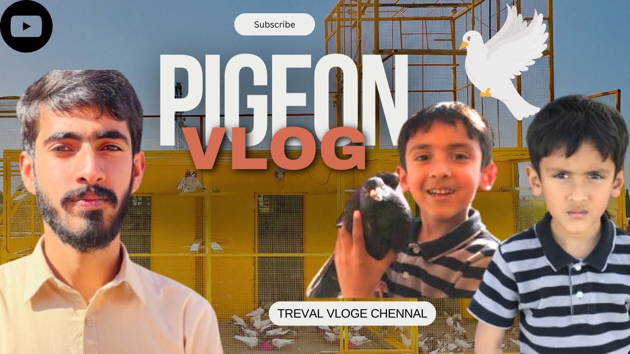 Pigeons & Animals vlog with Hashim Ali - CMA - YouTube