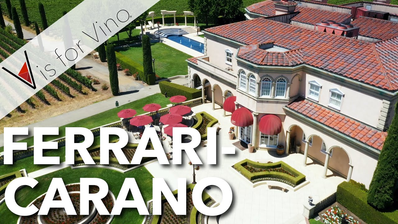 Making Olive Oil and Drinking Cabernet & Sauvignon Blanc at Ferrari ...