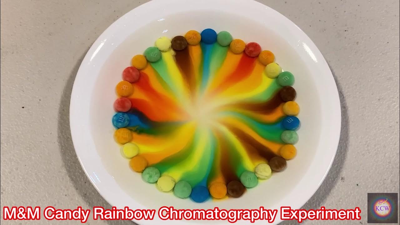 M&M Candy Rainbow Chromatography Experiment (Easy DIY Candy Science For ...