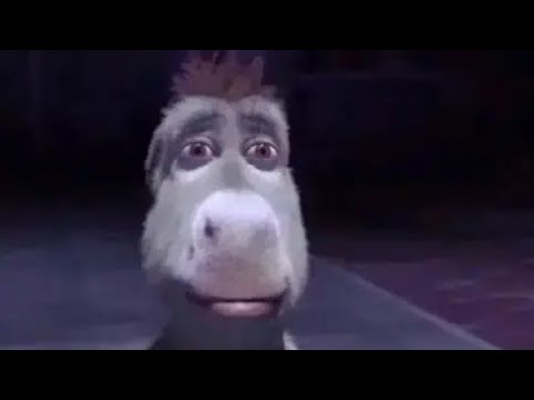 MEMES THAT IF YOU LAUGH YOU LIGHTSKIN STARE - YouTube