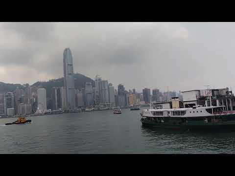 THE HARBOUR VIEW - YouTube