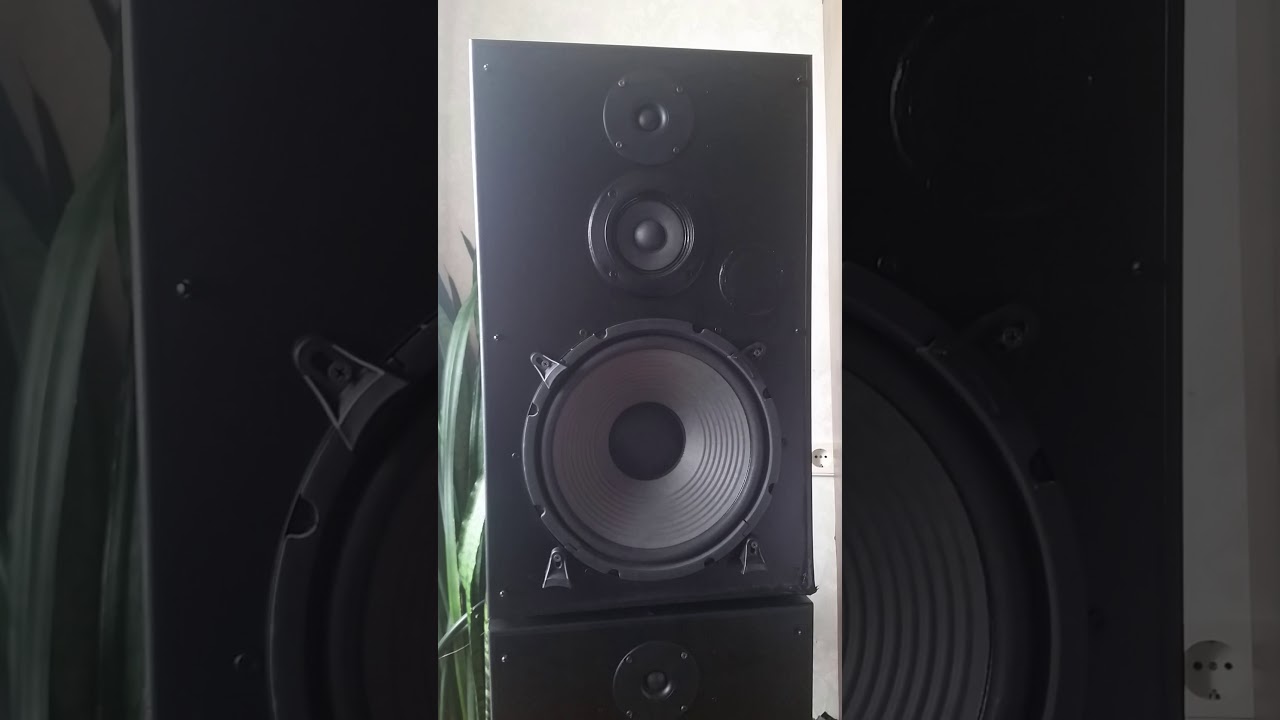 VISATON W300 - YouTube