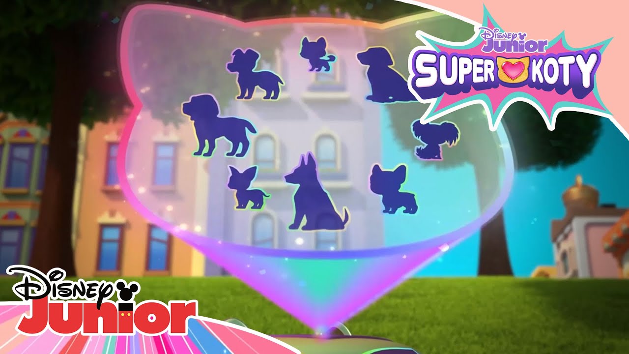🎆 Pościg za złodziejem fajerwerków | Superkoty | Disney Junior Polska ...
