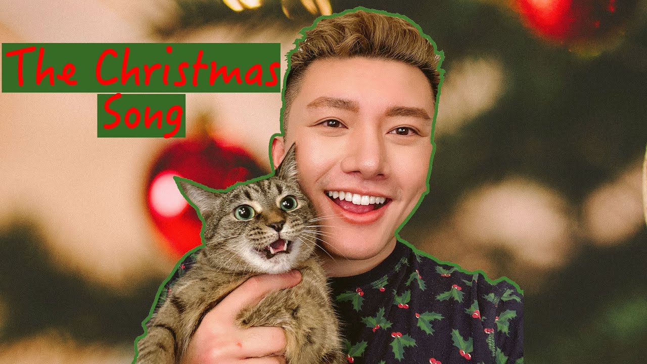 The Christmas Song🎄 Ft. My cat (Cover by Diego Che) - YouTube