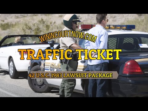 Learn How To Control The Traffic Court Zoom Hearing - YouTube