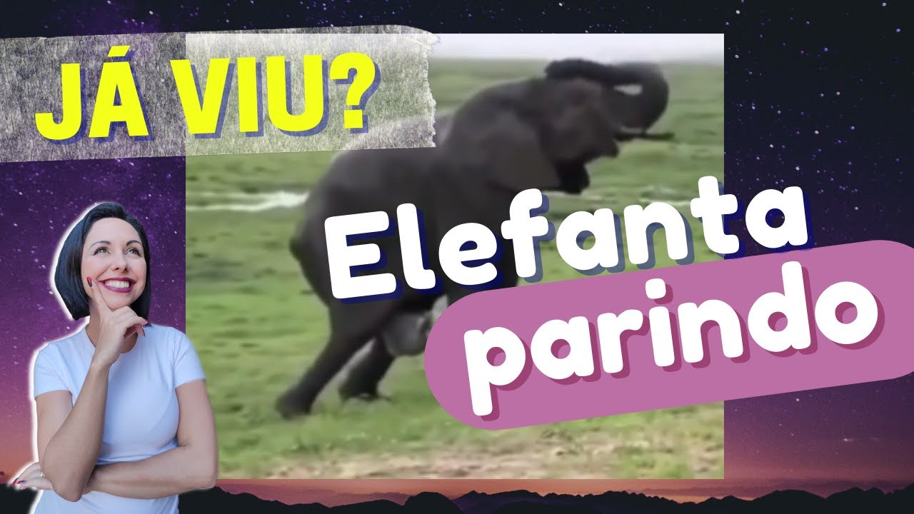 🐘 CURIOSIDADES DO PARTO ANIMAL: Você já viu ELEFANTE tendo BEBÊ? 😜 ...