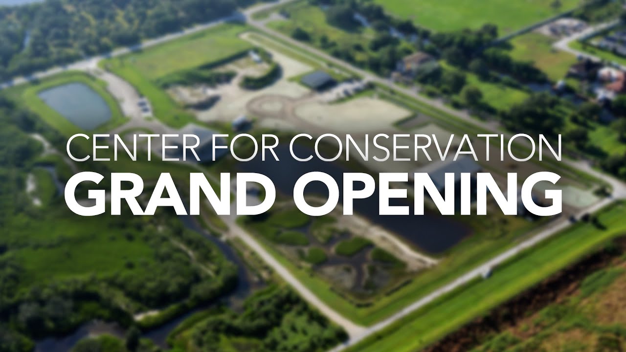 Center for Conservation: Grand Opening - YouTube