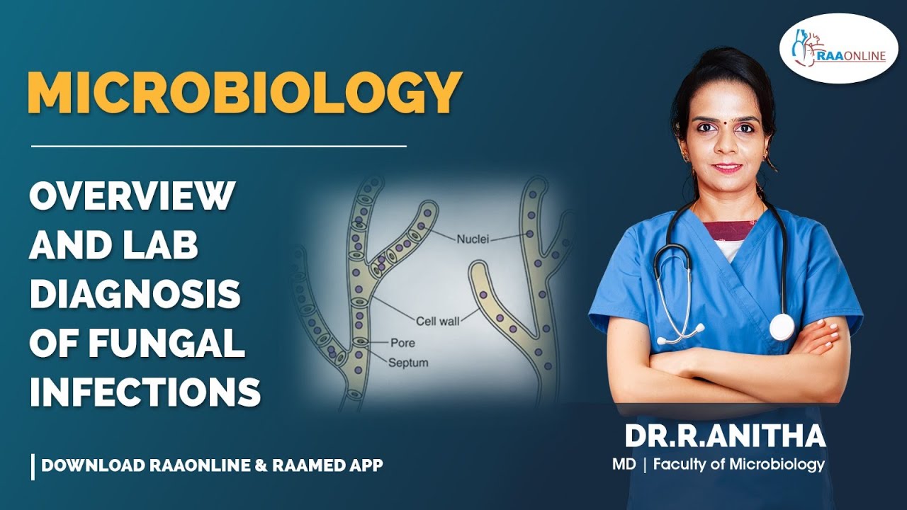 Microbiology | Overview and lab diagnosis of fungal infections ...