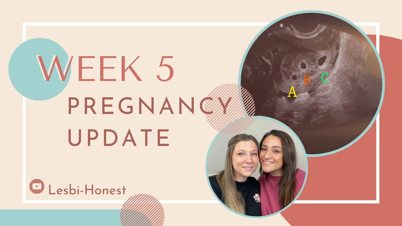 Week 5 Pregnancy Update - YouTube