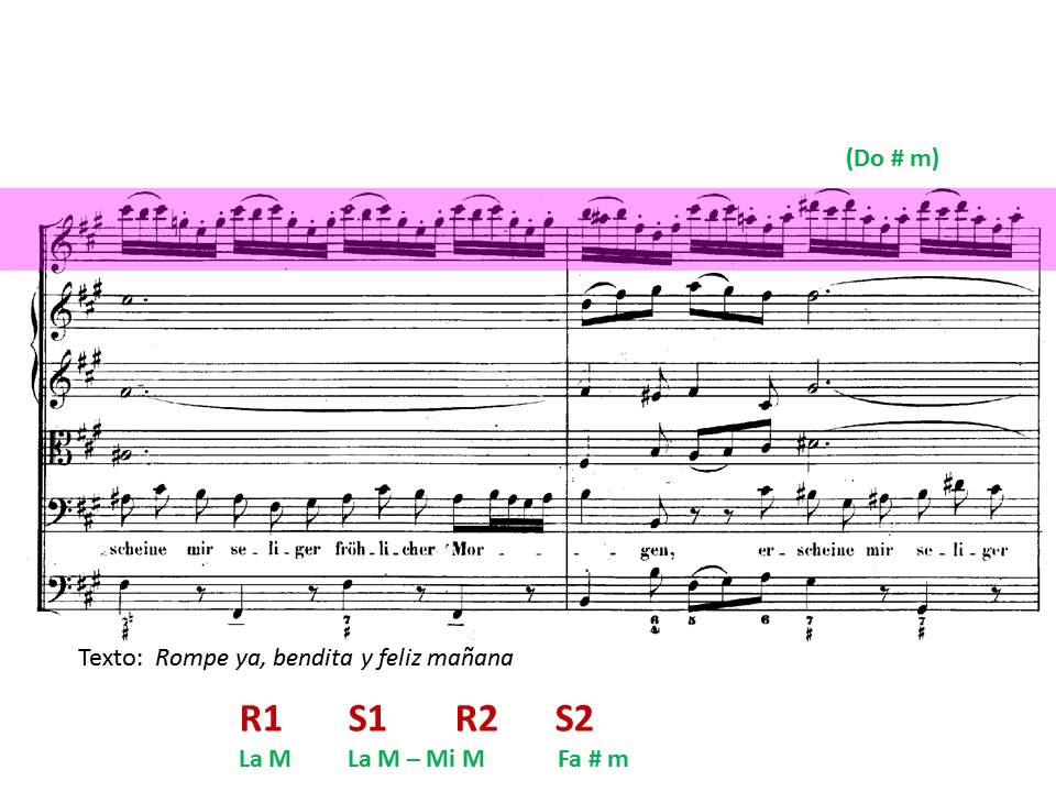 J.S.Bach. Cantata BWV 8. 4-Aria Bajo. Análisis Musical. Forma ...