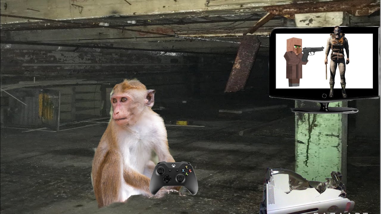 brain dead monkey plays fallout 4 as villager - YouTube