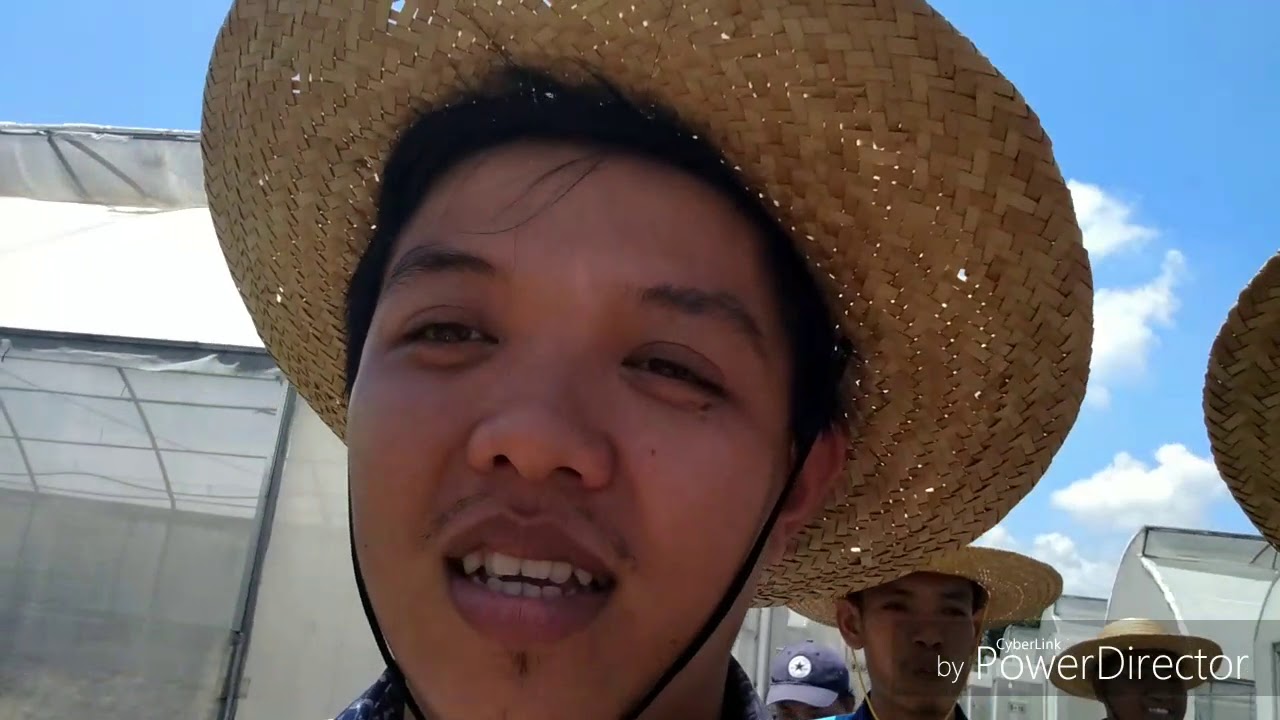 Explore farm kencong PT BISI Internasional Tbk - YouTube