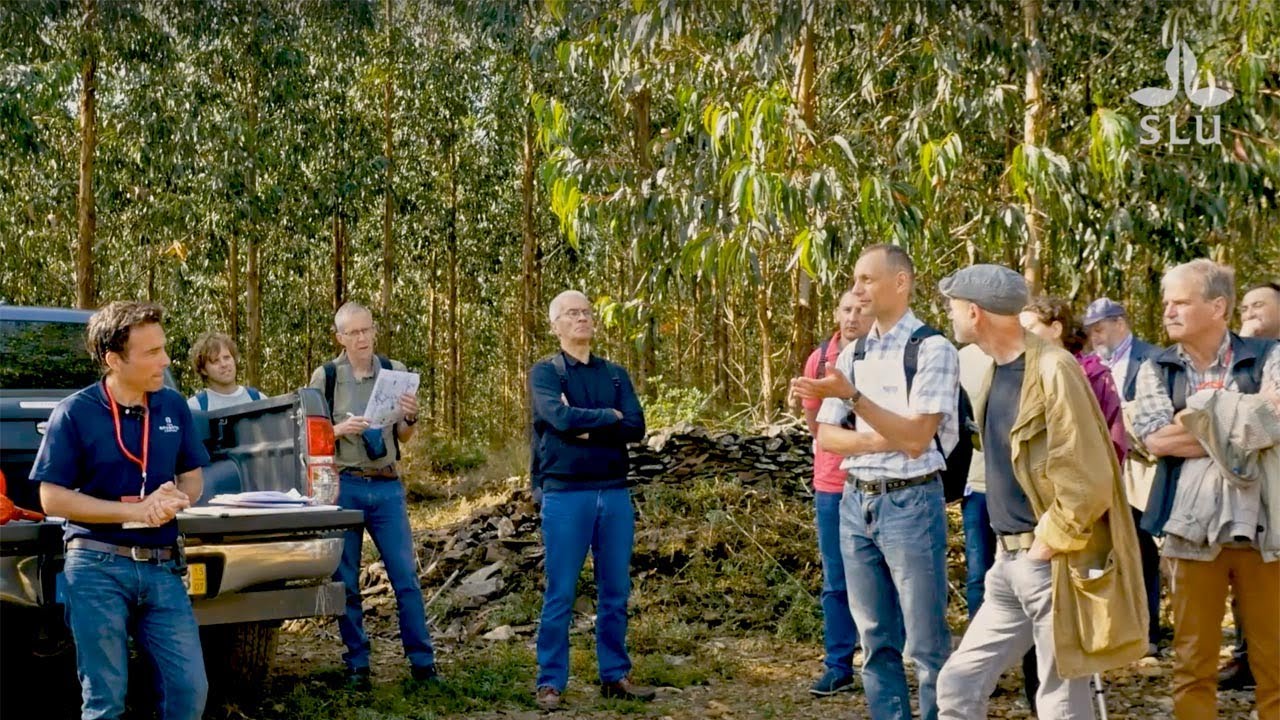 Vilis Brukas – professor i skoglig planering vid SLU - YouTube