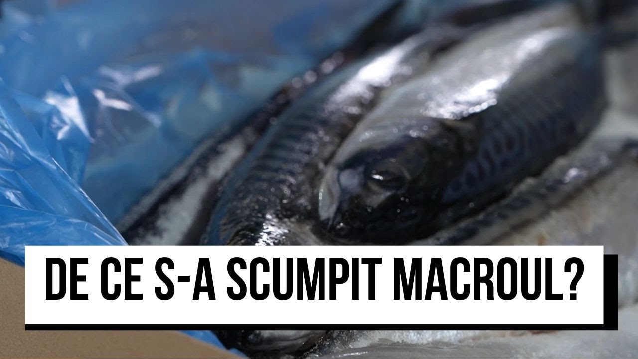 De ce s-a scumpit macroul? Riscăm un deficit de pește în magazine ...