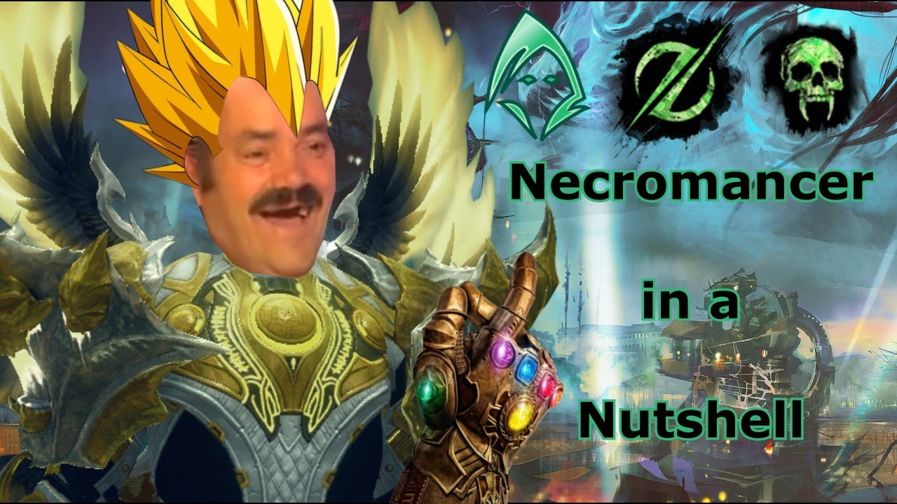 Guild Wars 2 : Necromancer in a Nutshell ( 100% Pure Memes ) - YouTube