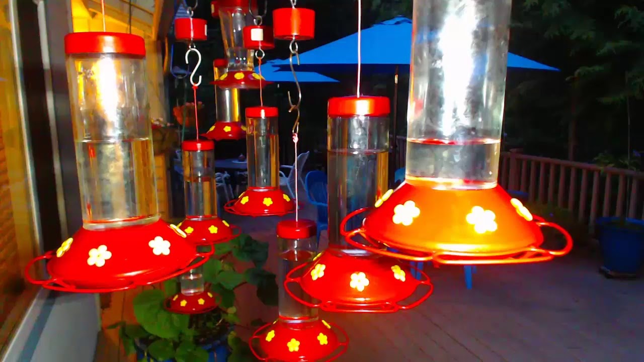 katersch1 Live Stream - YouTube