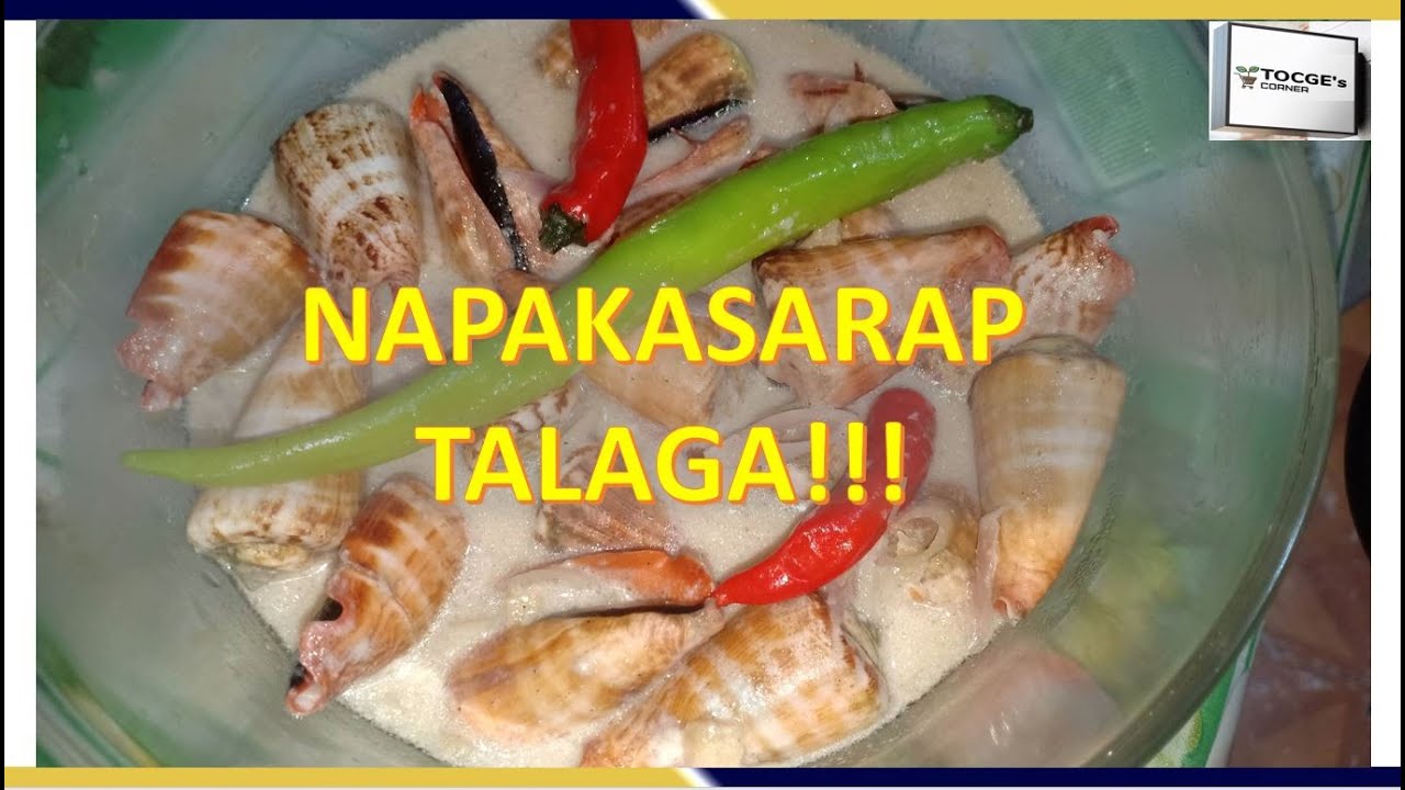Simple cooking: my favorite ginataang #seashells - YouTube