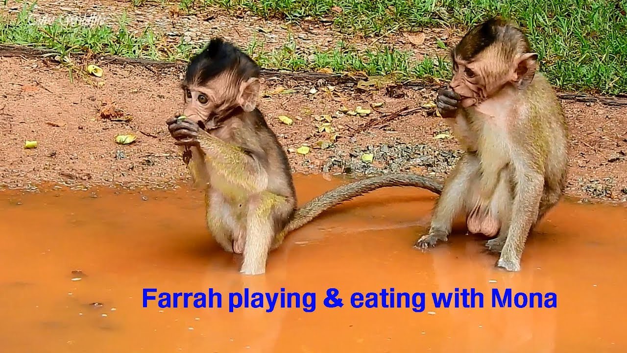 Precious & lovely baby Farrah playing & eating fruit with cute baby ...