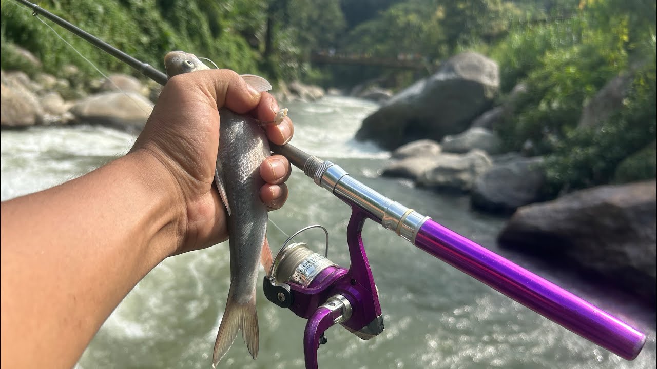 Local ASALA fish fishing in Rani khola Gangtok Sikkim. Epi 2 - YouTube