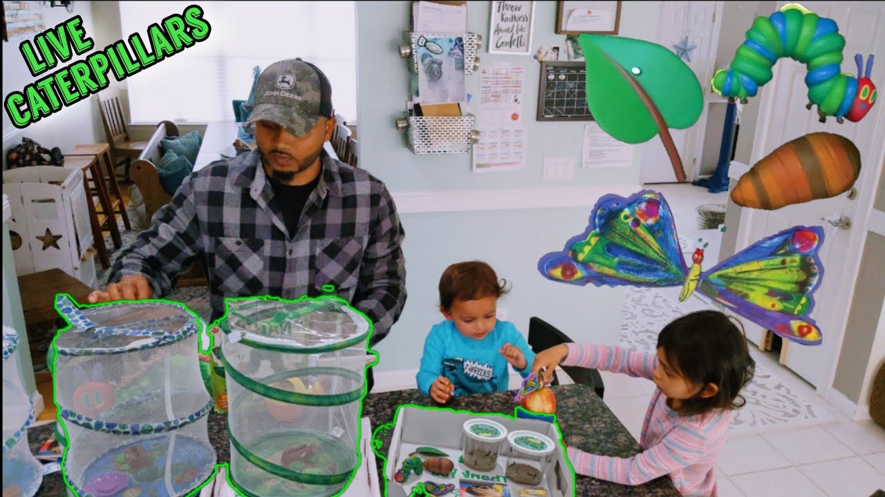 Butterfly Growing Kit |10 Live Caterpillars| Day 1|Family Vlog| - YouTube