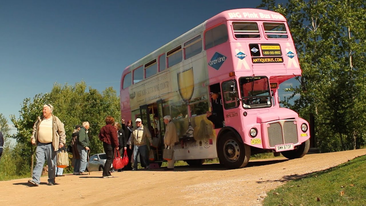 Riding the Wolfville Magic Winery Bus - YouTube