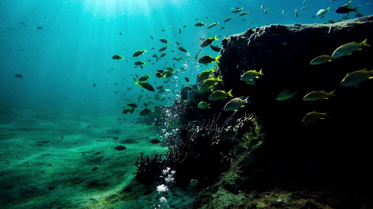 ASMR | White noise | Scuba diving | Underwater sounds | 스쿠버 다이빙 백색소음 ...