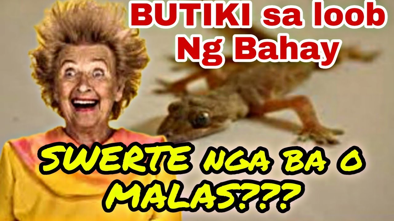 BUTIKI sa loob Ng Bahay| SWERTE nga ba o MALAS? - YouTube