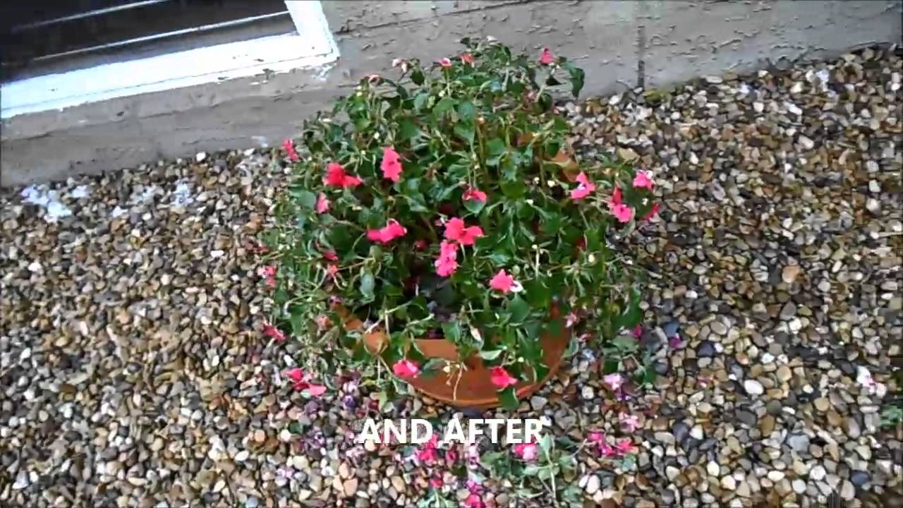 Hail Storm in Red Deer, Alberta, Canada, August 7 2014, - YouTube