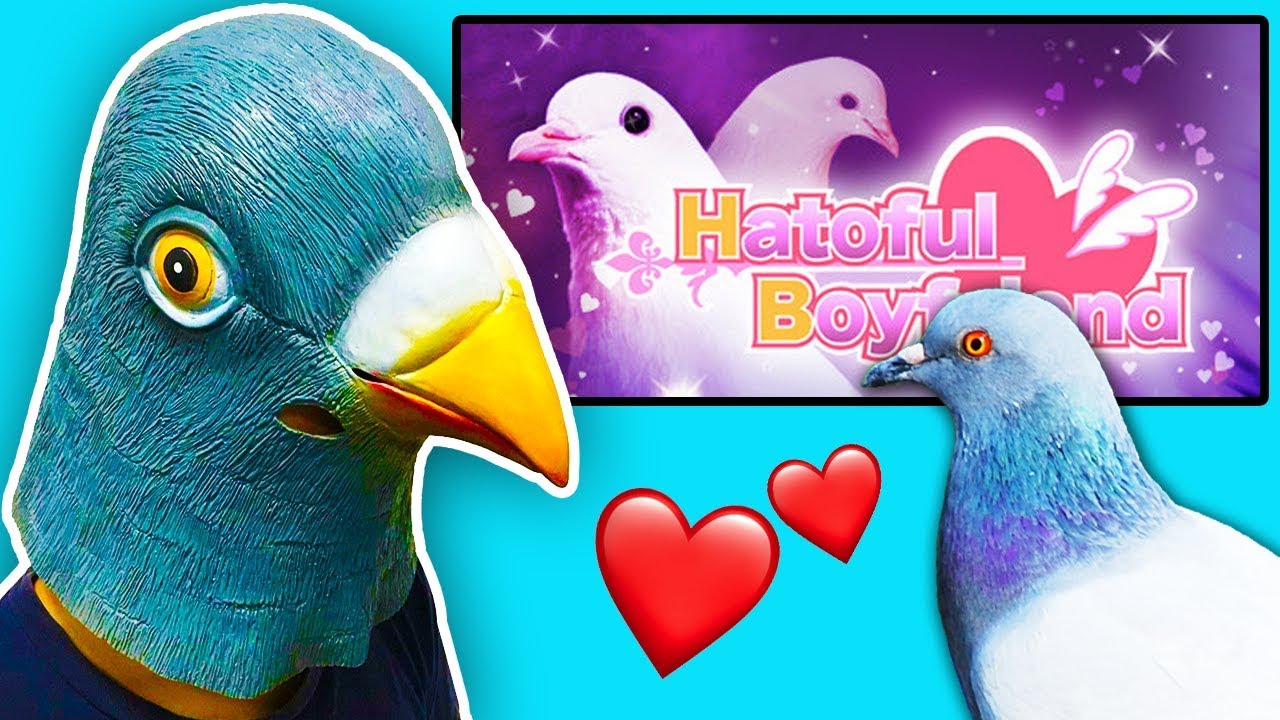 Jack plays a PIGEON DATING SIMULATOR ?? - YouTube