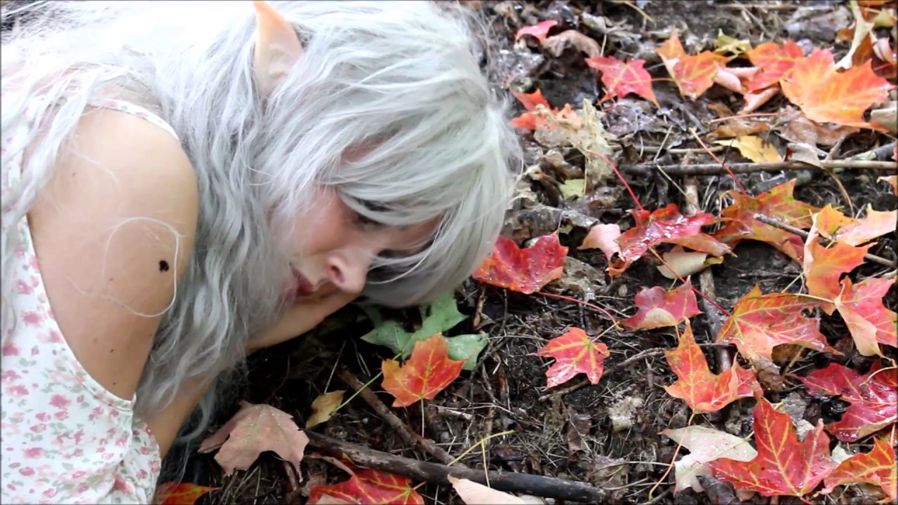 Woodland Fairytale: Elf Cosplay in the Woods | Elves and Fairies | The ...
