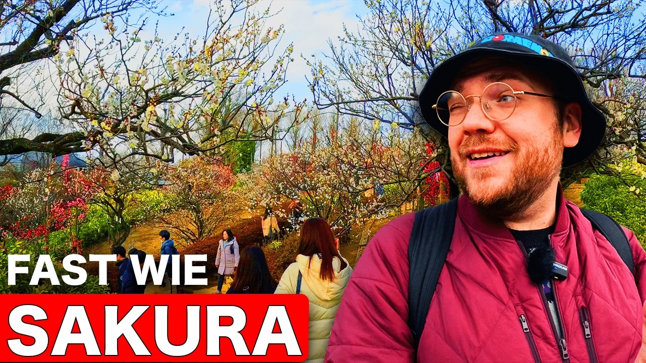 Umegaoka – Der Geheimtipp für die Ume-Blüte in Japan! 🌸 - YouTube