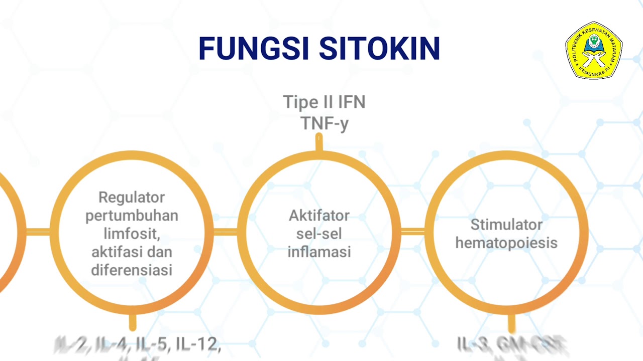 SITOKIN Kelompok 4 kelas B - YouTube