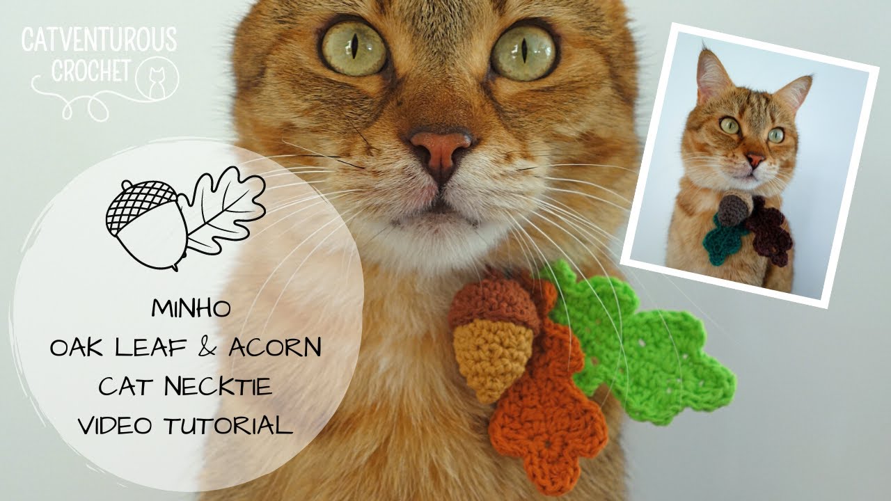 Minho Oak Leaf & Acorn Cat Necktie - Catventurous Crochet - YouTube