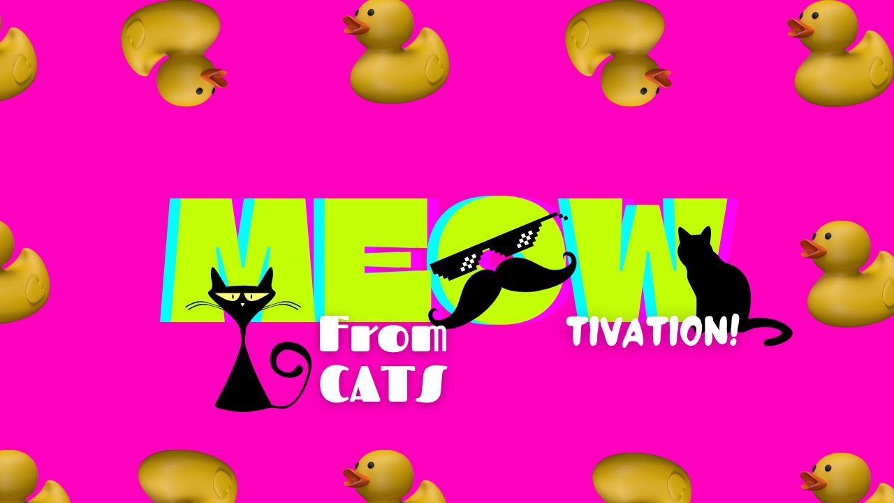 15 Cute, Funny CAT MEOW-tivational Lessons | Motivation | CATS ...